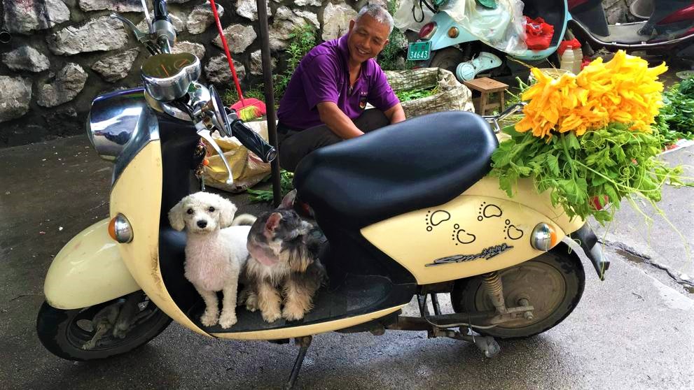 FESTIVAL DE CARNE DE PERRO DE YULIN. – Viajes en Chancletas