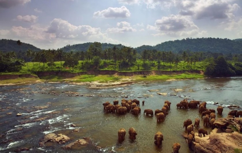 EL NILO. FUENTE DE VIDA EGIPCIA. – Viajes en Chancletas